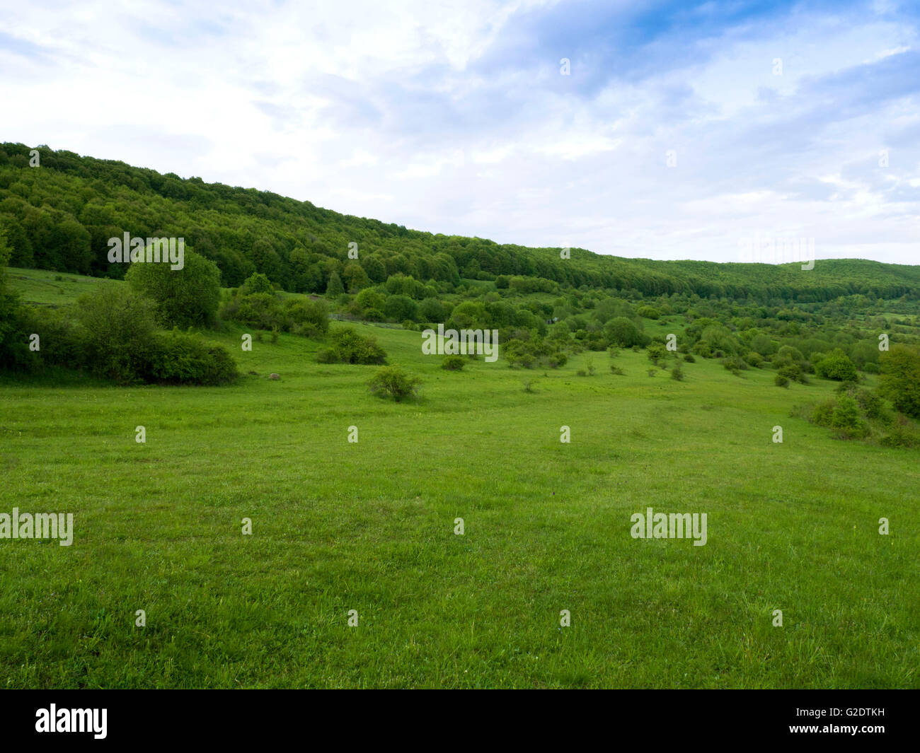 Hill trees grass hi-res stock photography and images - Alamy