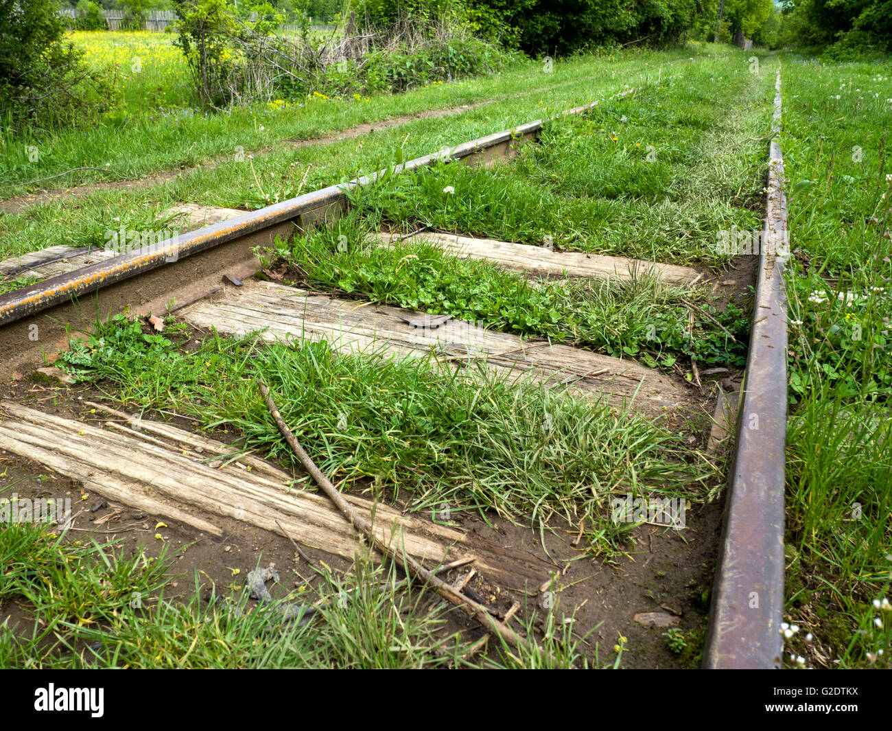 Blu train hi-res stock photography and images - Alamy