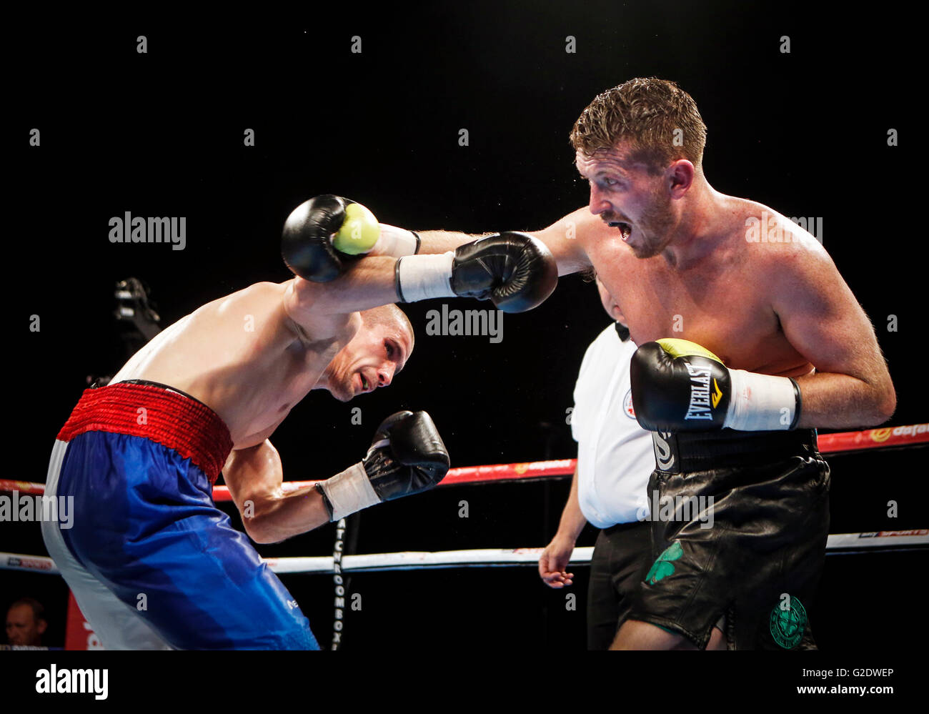 Scott cardle hi-res stock photography and images - Alamy