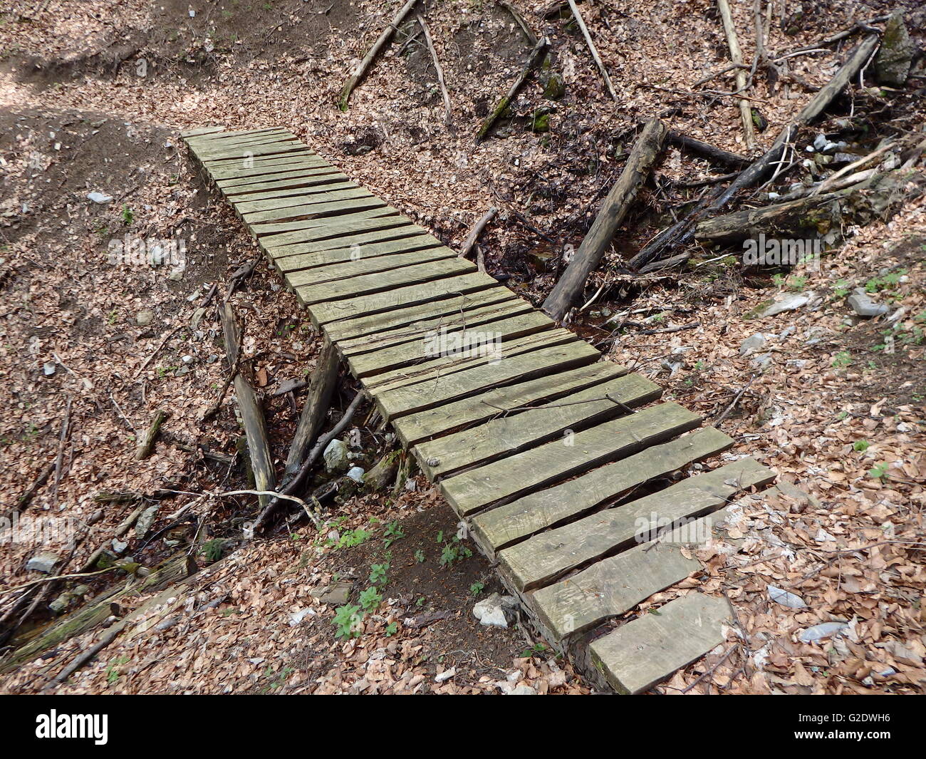 path, sidewalk, pavement, walkway, footpath, pathway,wooden bridge on a ...