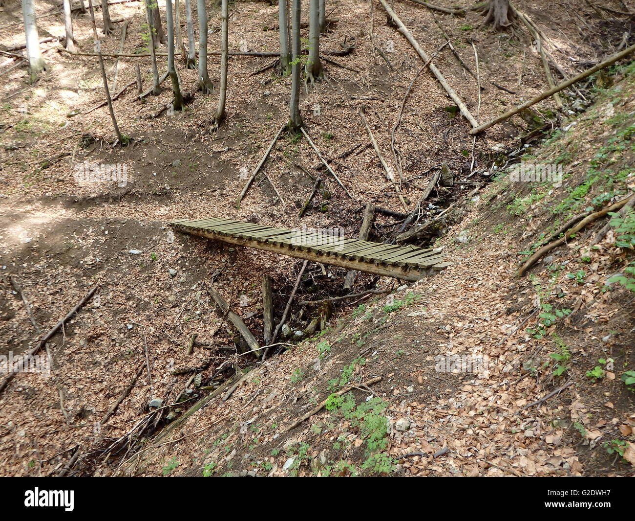 path, sidewalk, pavement, walkway, footpath, pathway,wooden bridge on a ...