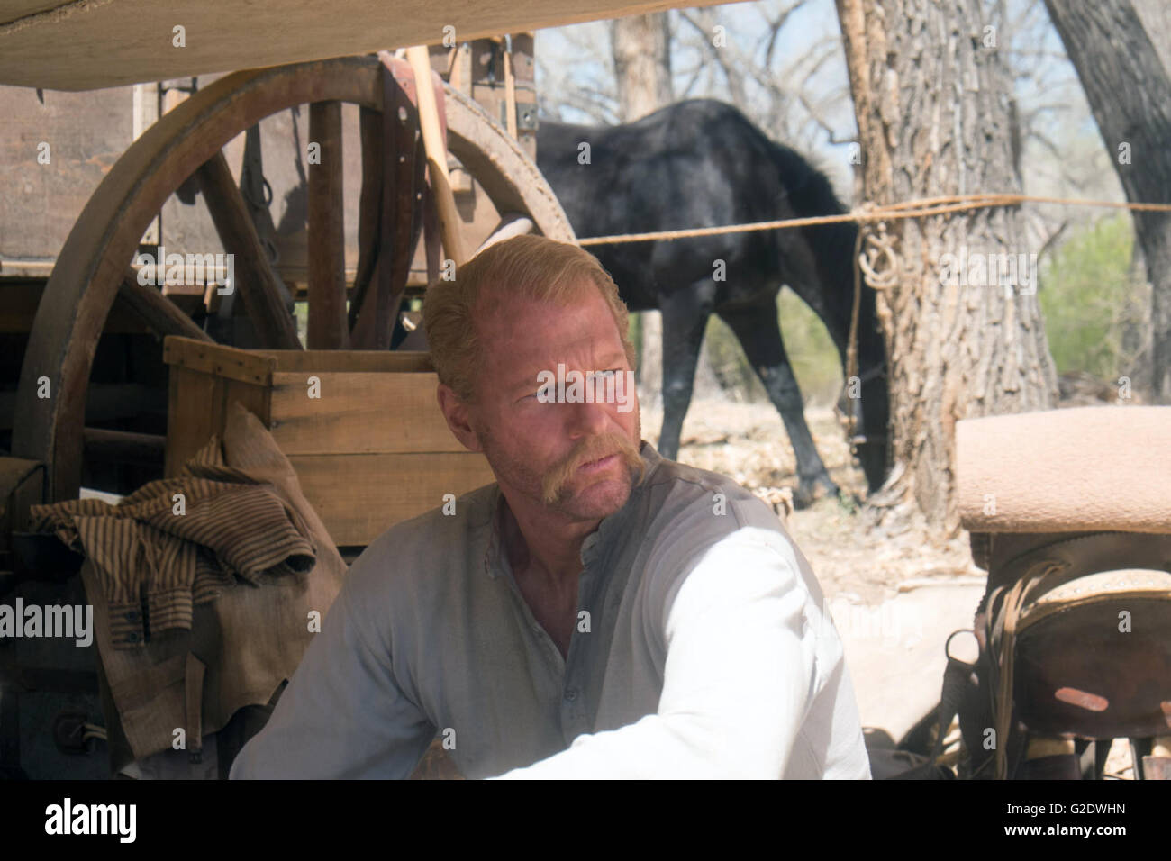 Jane Got a Gun is a 2016 American action Western film directed by Gavin ...