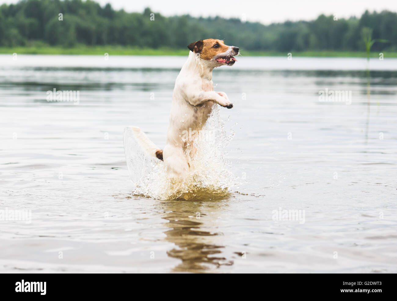 Playing splashing in water hi-res stock photography and images - Alamy