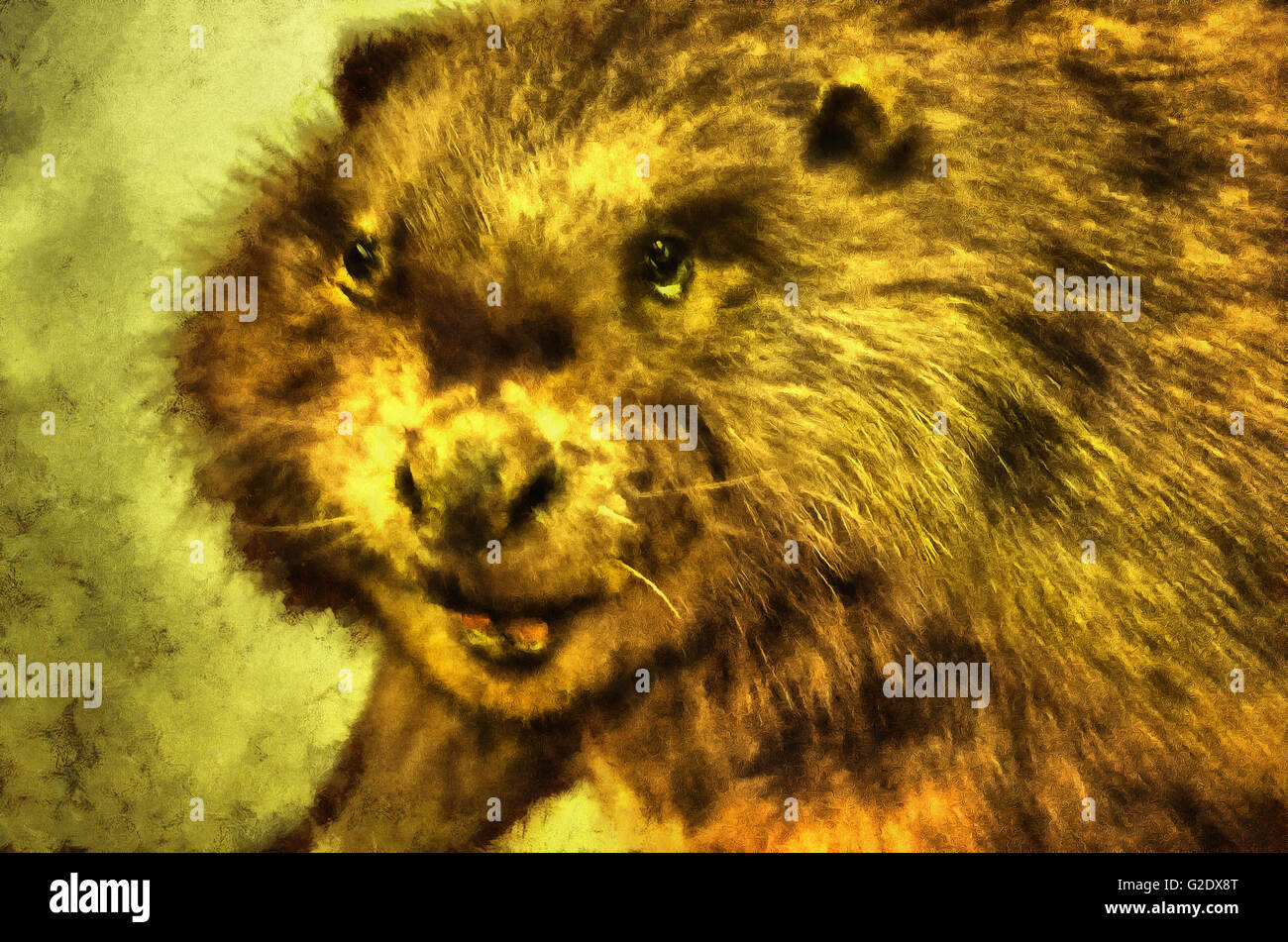 Image beaver art hi-res stock photography and images - Alamy