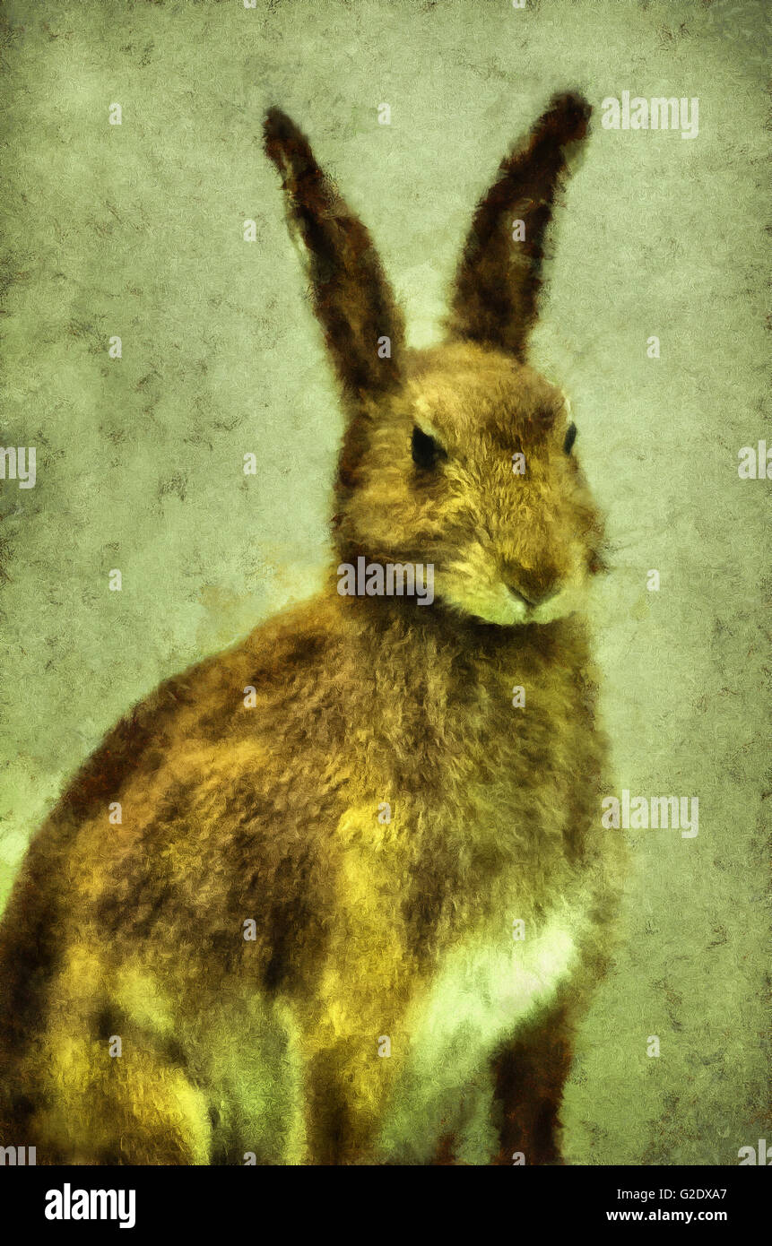Lepus mandshuricus hi-res stock photography and images - Alamy