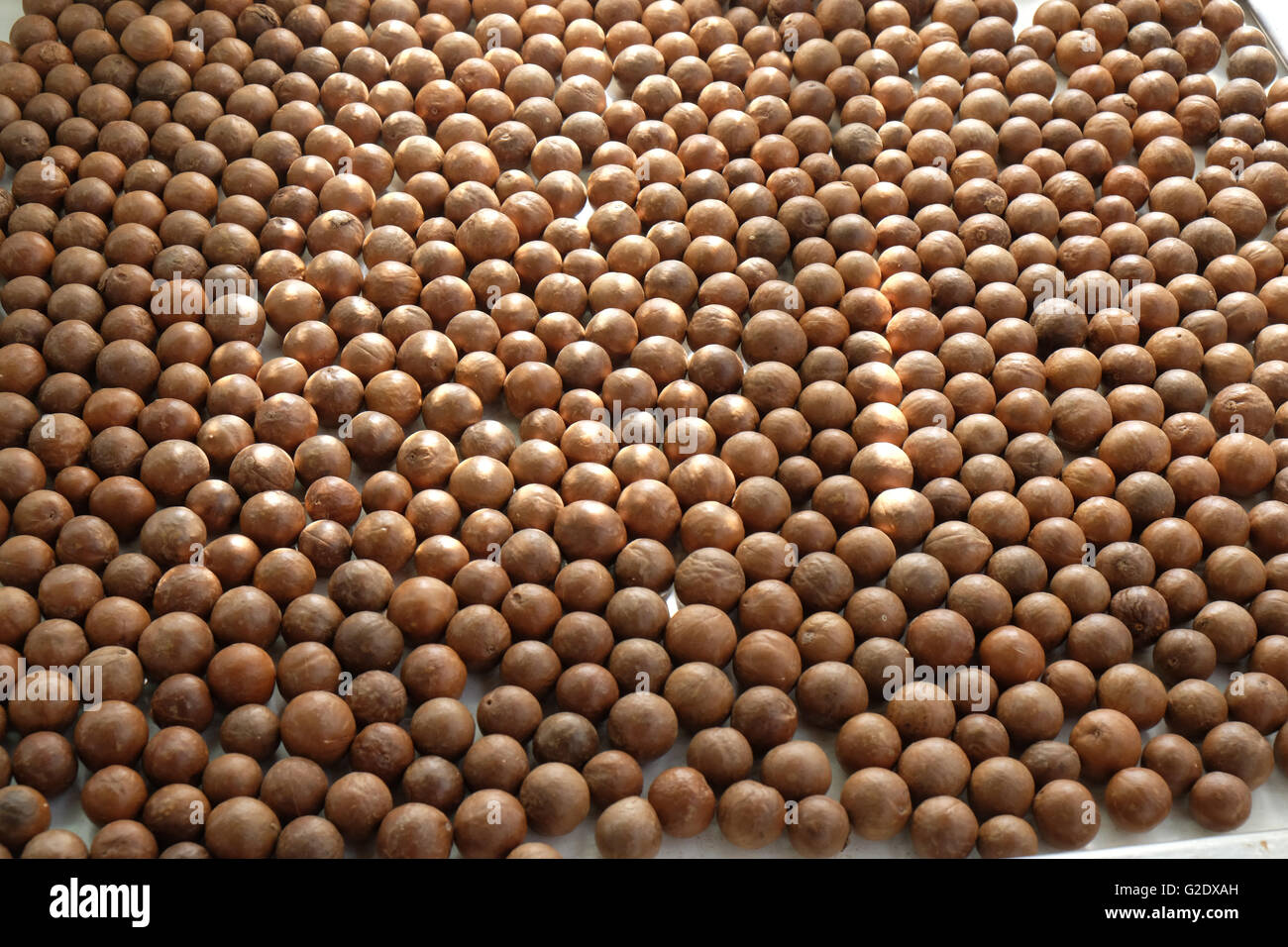 Macadamia nut processing sorting hi-res stock photography and images ...