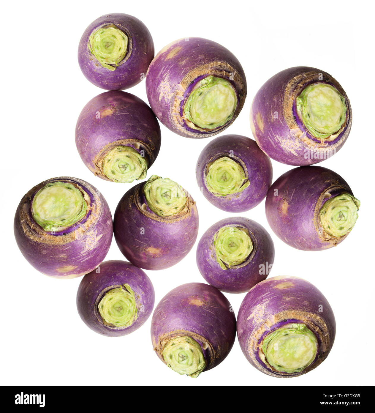 Bulb turnip hi-res stock photography and images - Alamy