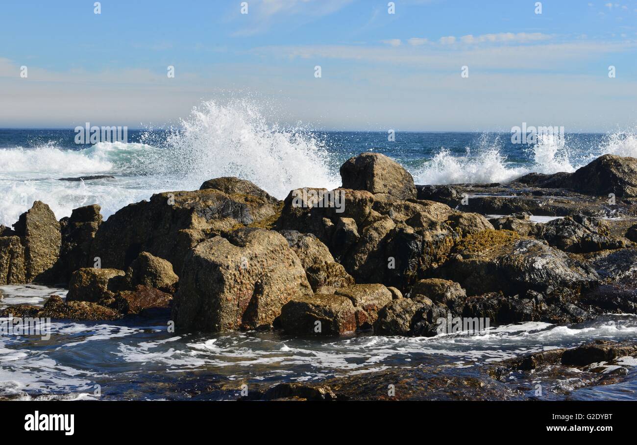 Bantry Bay in South Africa Stock Photo - Alamy