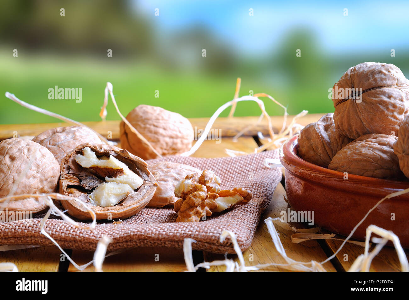 Walnuts in shell hi-res stock photography and images - Alamy
