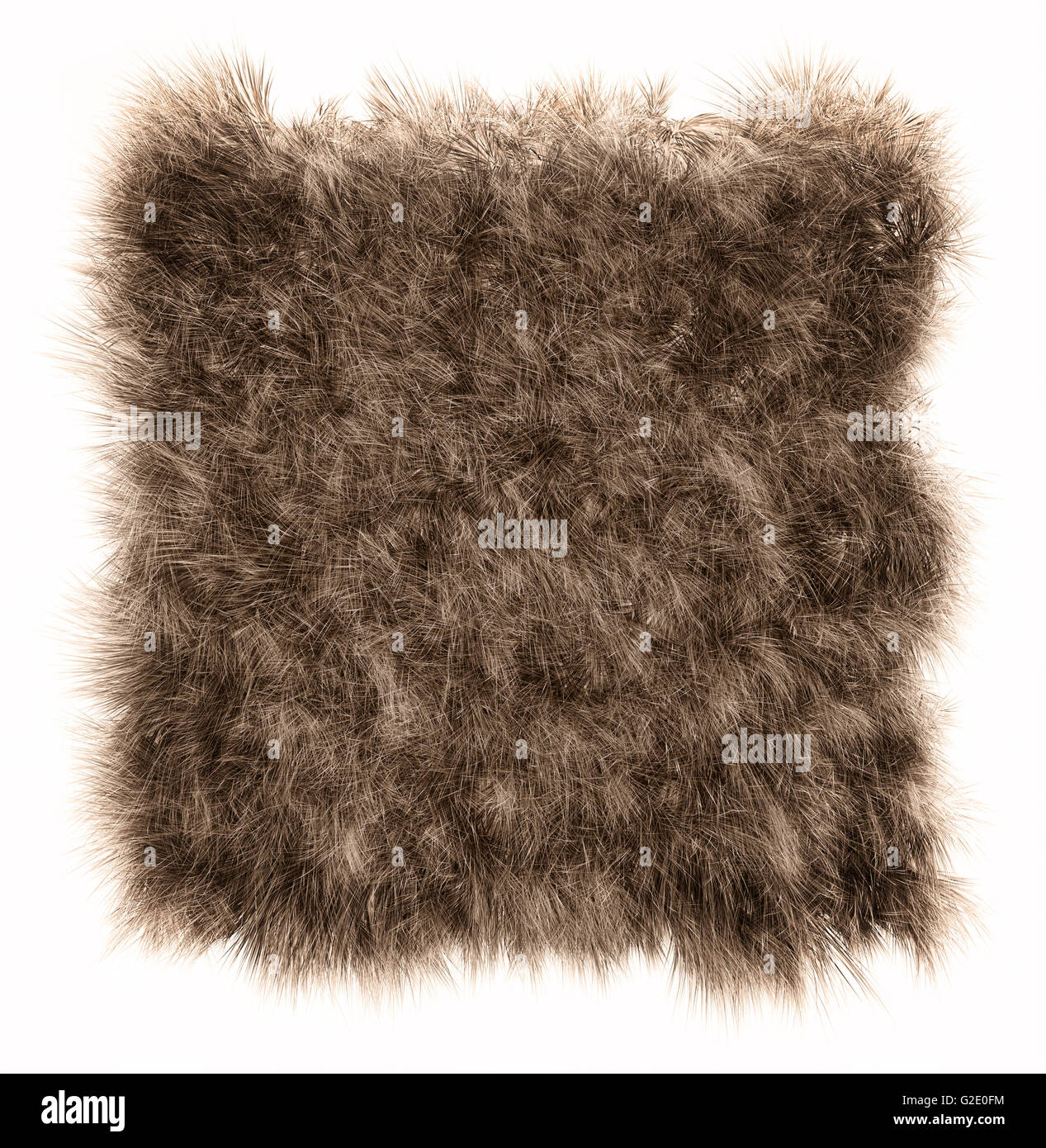 Soft texture animal fur Cut Out Stock Images & Pictures - Alamy