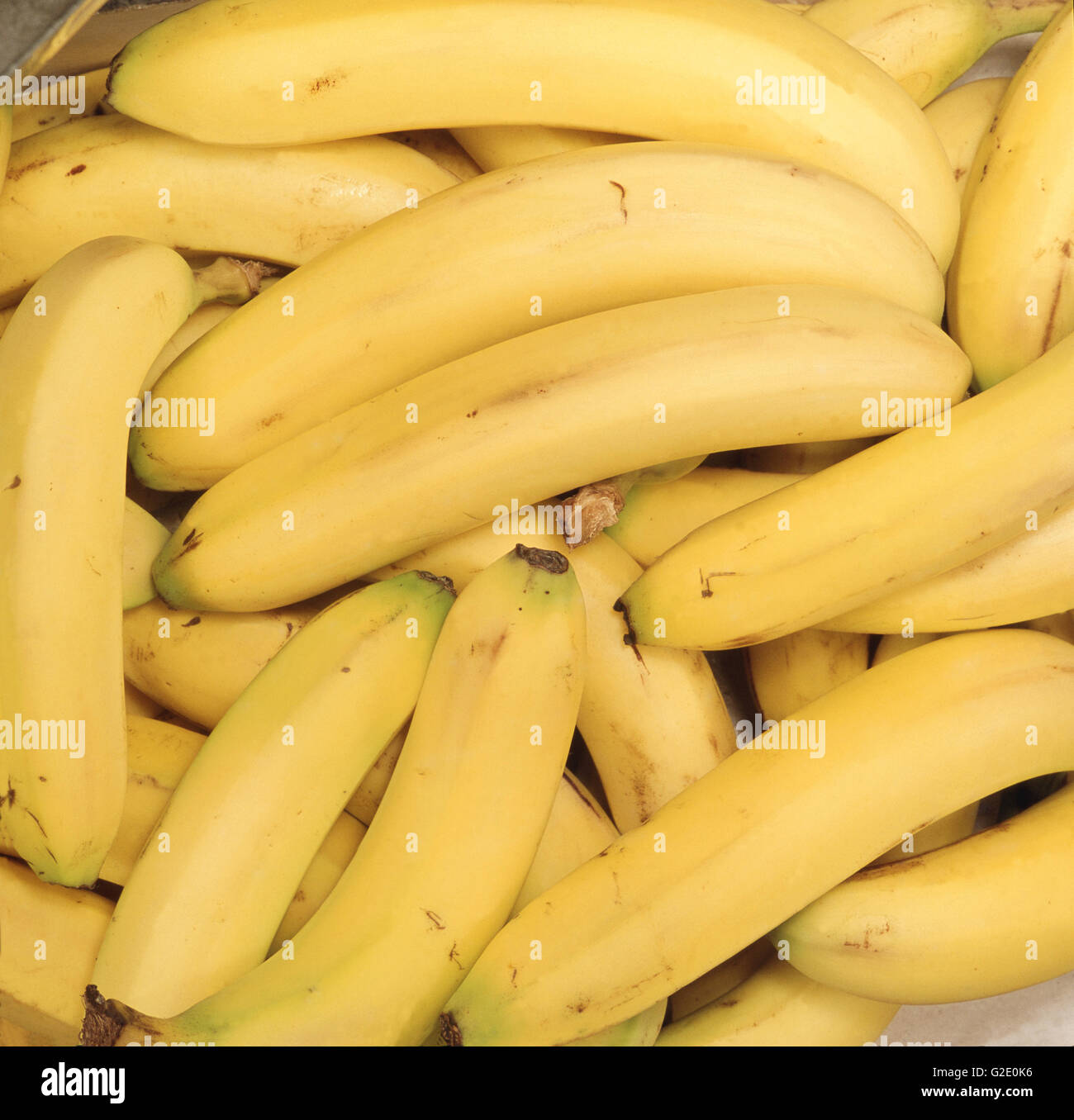 With bananas hi-res stock photography and images - Alamy