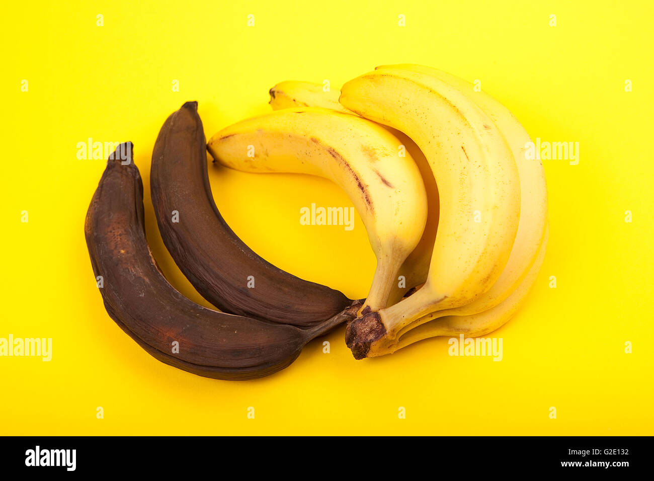 two rotten bananas and bunch of ripe bananas on yellow background Stock ...