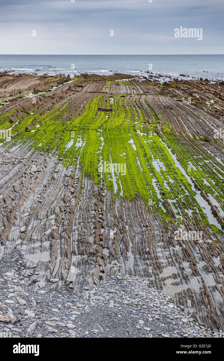 Flysch, different layers of rock, Cantabrian coast, Deba, Basque ...