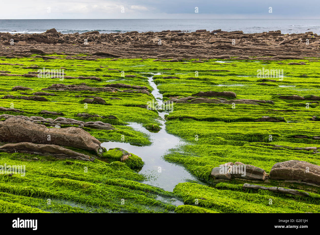 Flysch, different layers of rock, Cantabrian coast, Deba, Basque ...