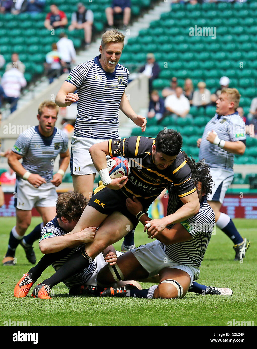 Cornwall's Jake Murphy in action during the Bill Beaumont Cup Final ...