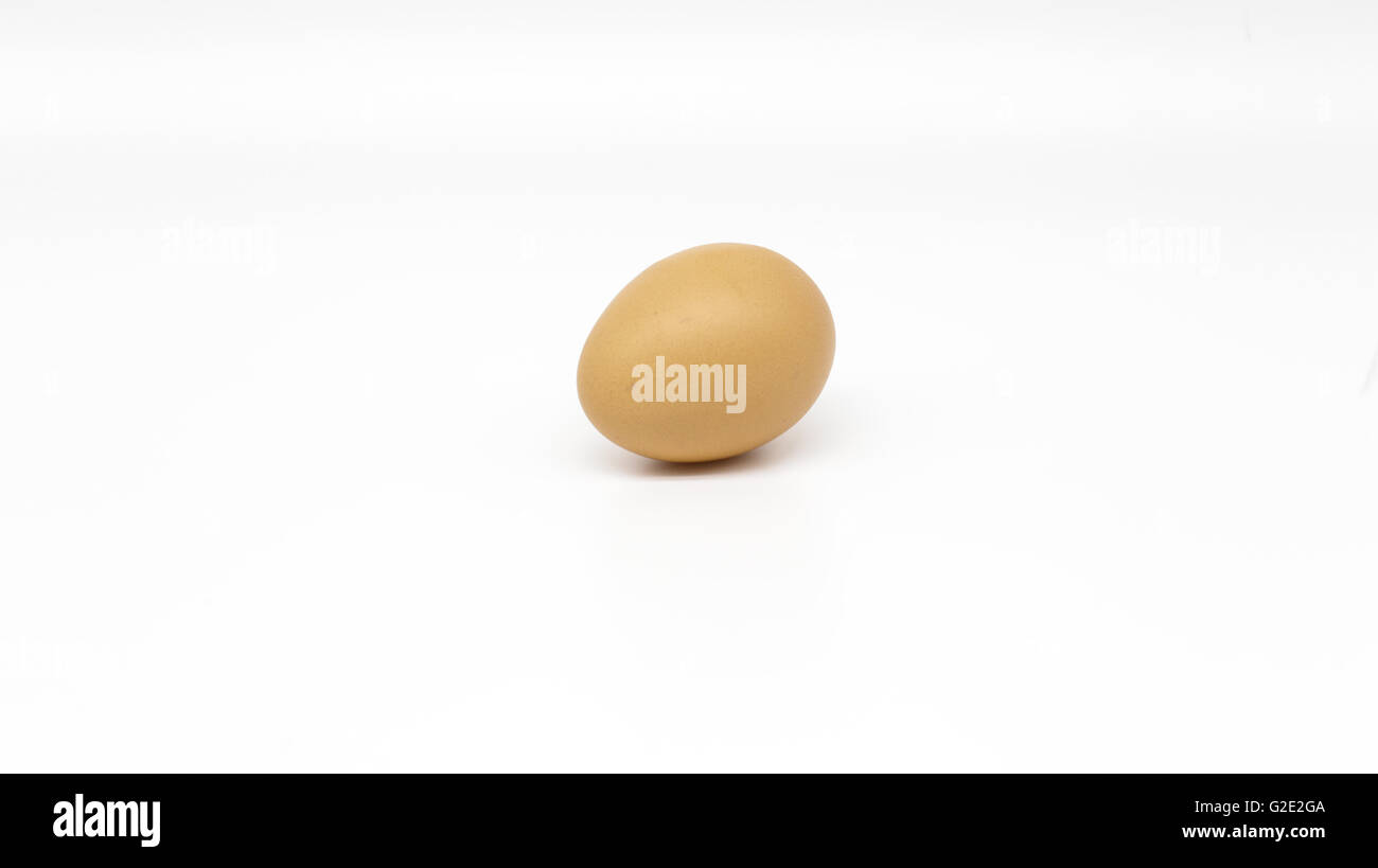 One egg isolate on white background Stock Photo - Alamy