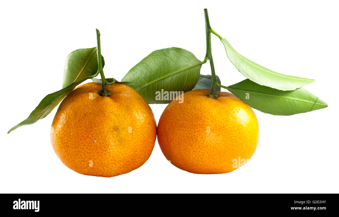 Fresh thai two orange fruit with green leaf on white background Stock ...