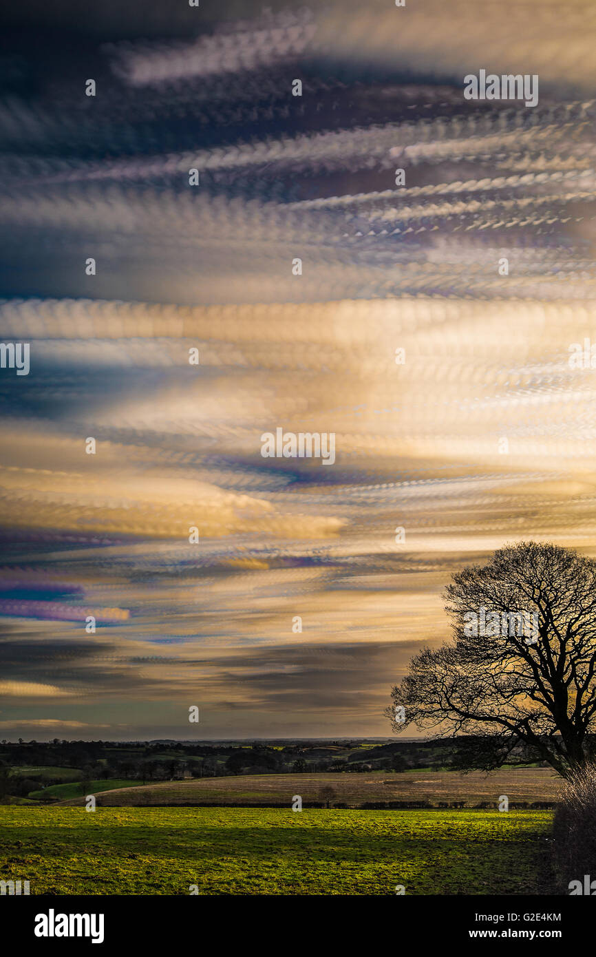 Timelapse trees hi-res stock photography and images - Alamy