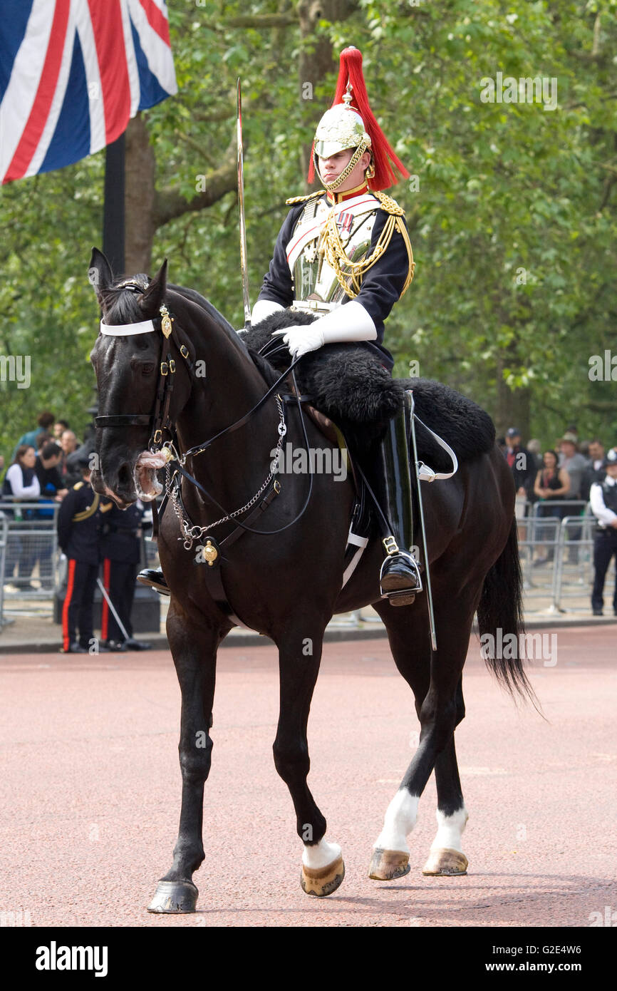 Royal Horse Guards And 1st Dragoons Stock Photos & Royal Horse Guards ...
