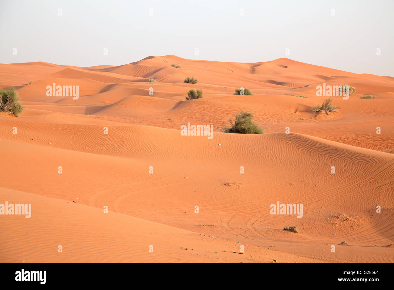 Red sand "Arabian desert" near Dubai, United Arab Emirates Stock Photo ...