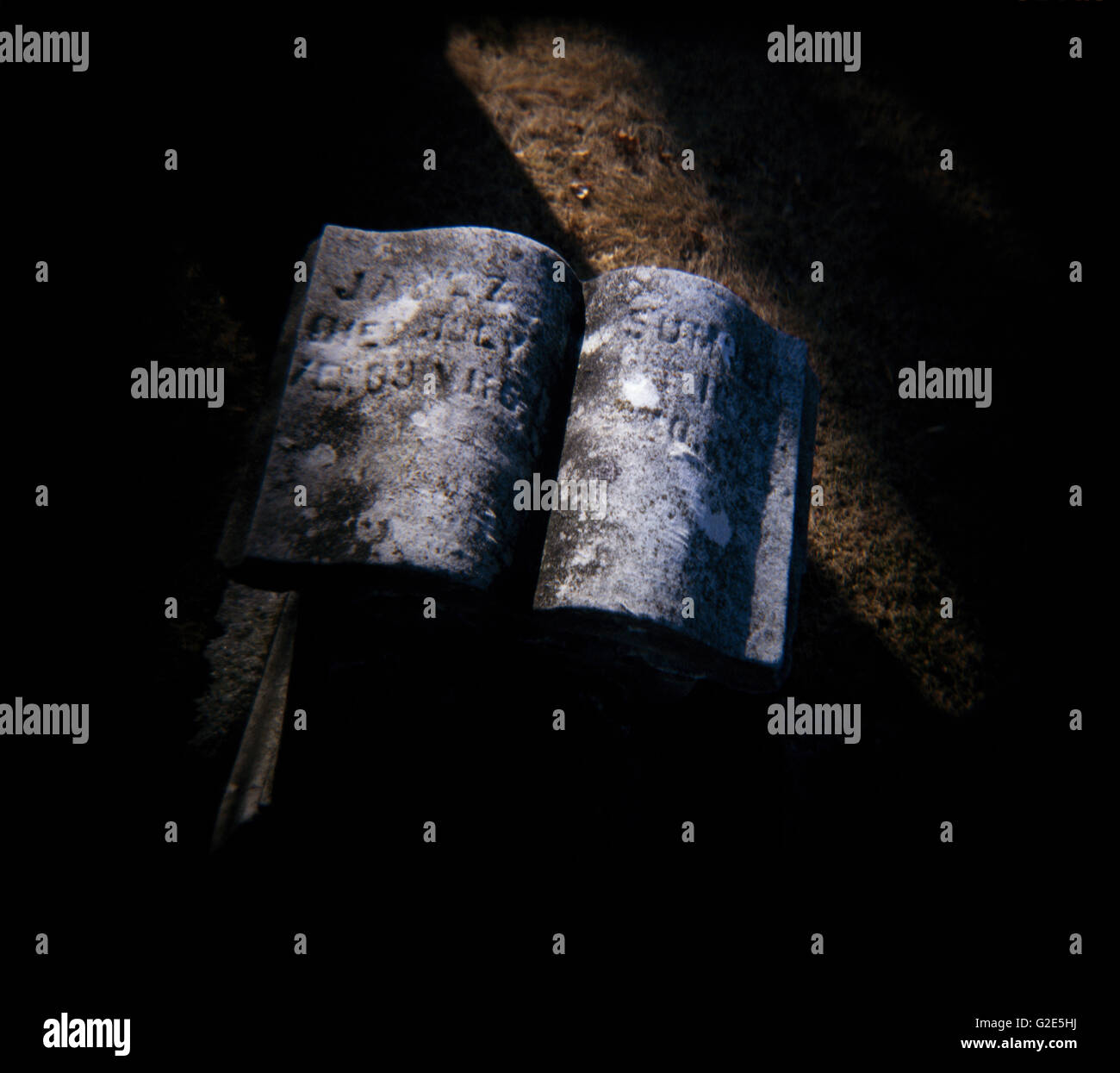 Macabre artifacts hi-res stock photography and images - Alamy