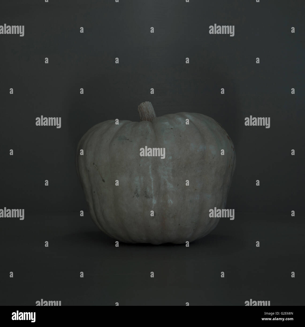 Pumpkin and Shadow Stock Photo - Alamy