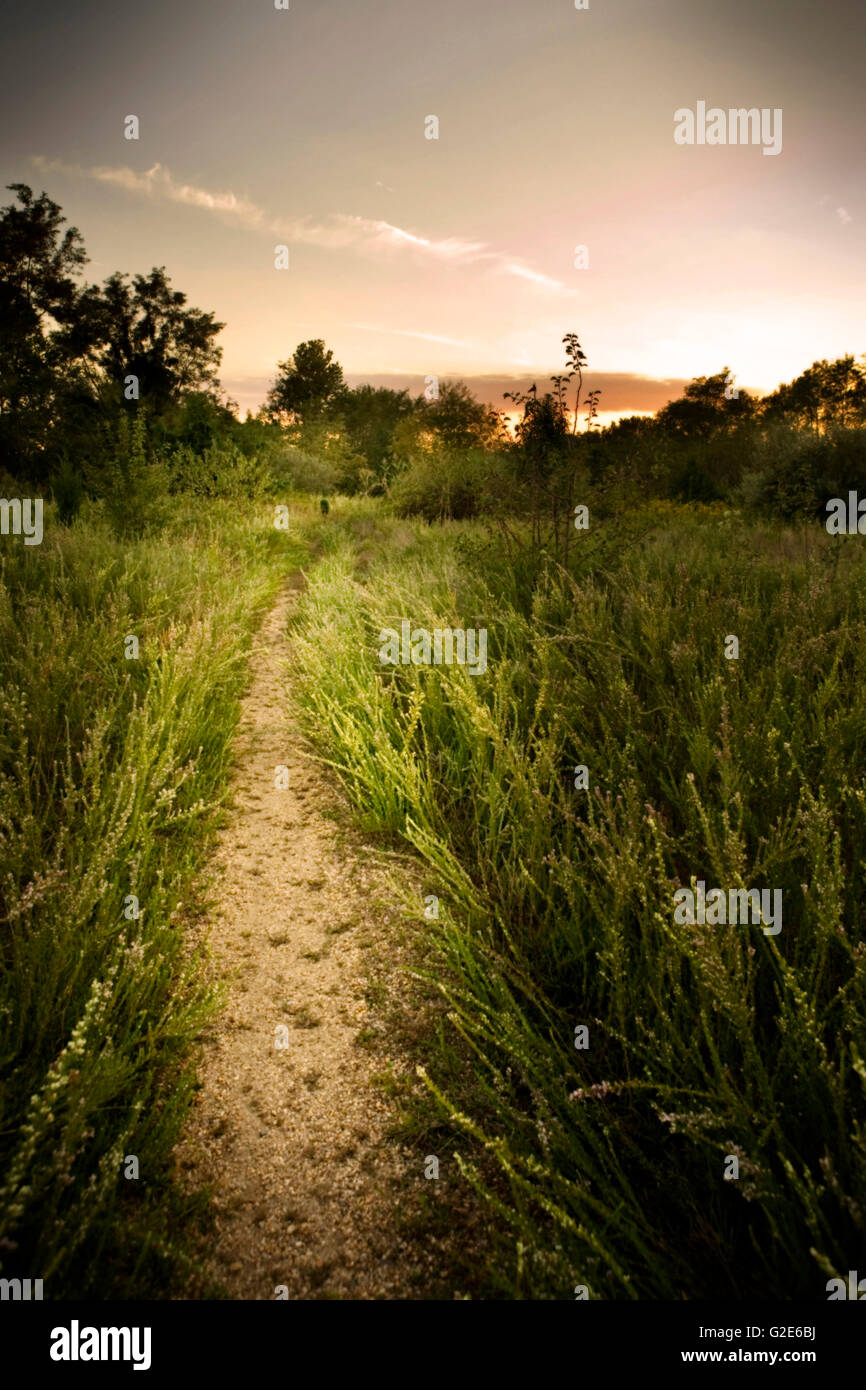 Path to Sunset Stock Photo - Alamy