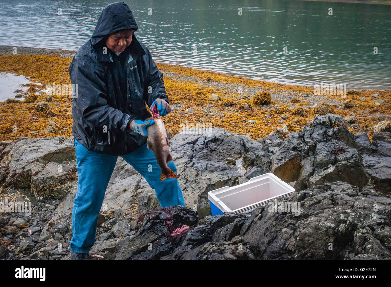 Alaska North America STATES Sitka Summer USA Stock Photo - Alamy