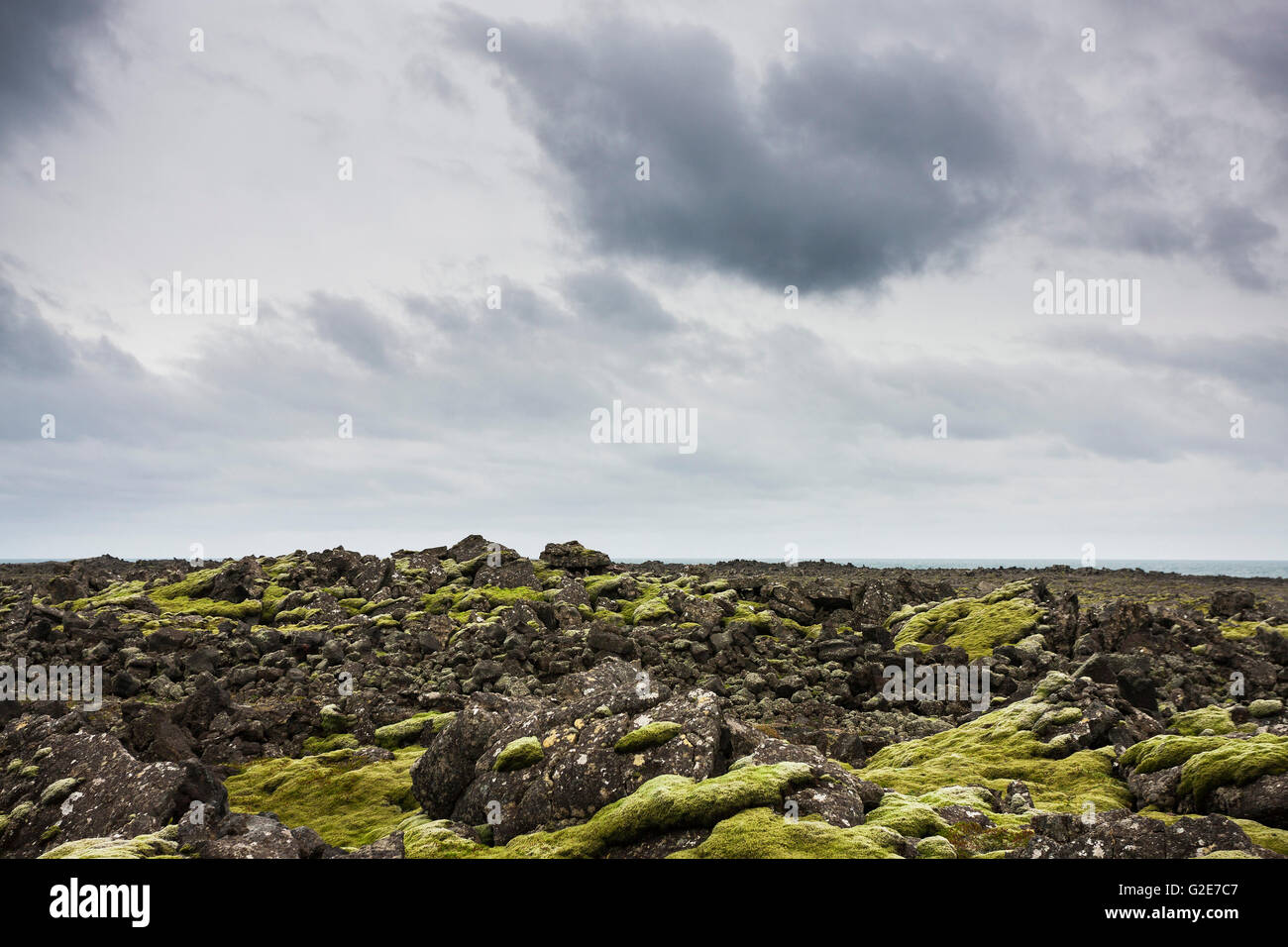 Iceland and lava and moss and people hi-res stock photography and ...