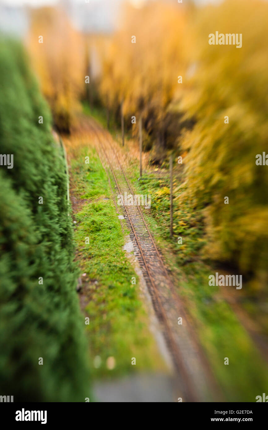 Train Tracks Through Autumn Trees Stock Photo - Alamy