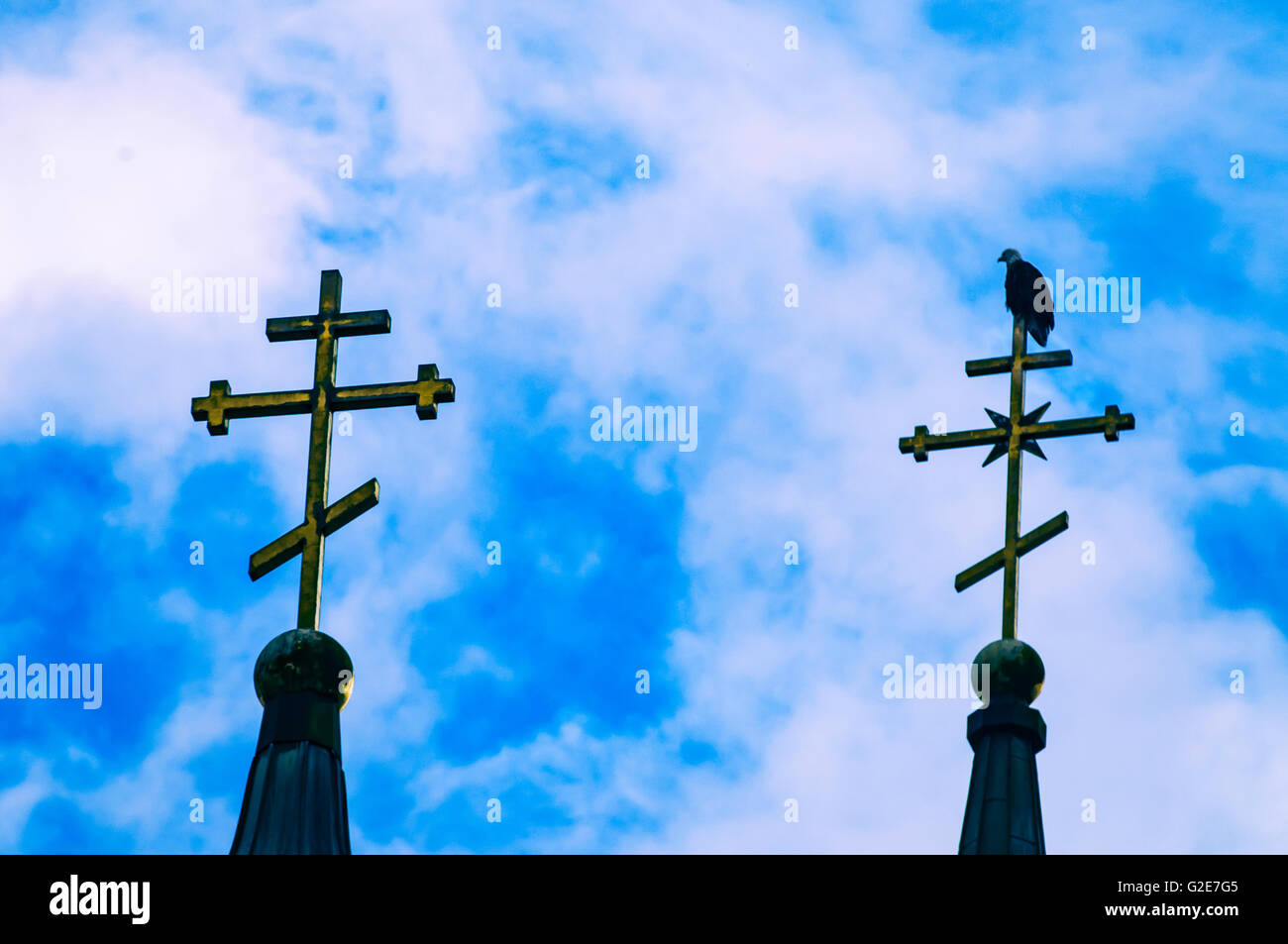Sitka, Alaska. bald eagles on cross spires of St. Matthew Russian ...