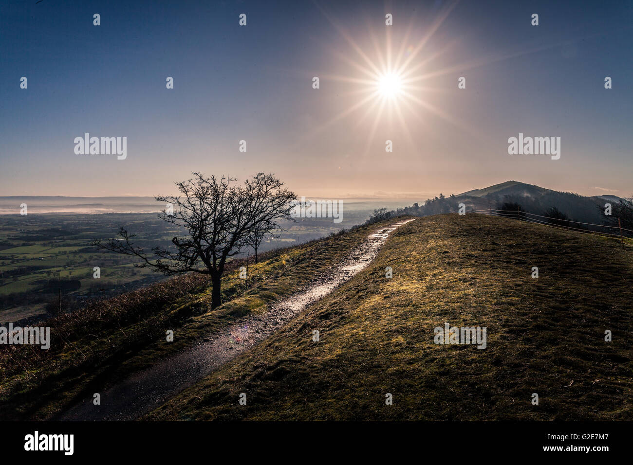 Tree Along Hillside Path Above Rural Countryside with Bright Sun Flare ...