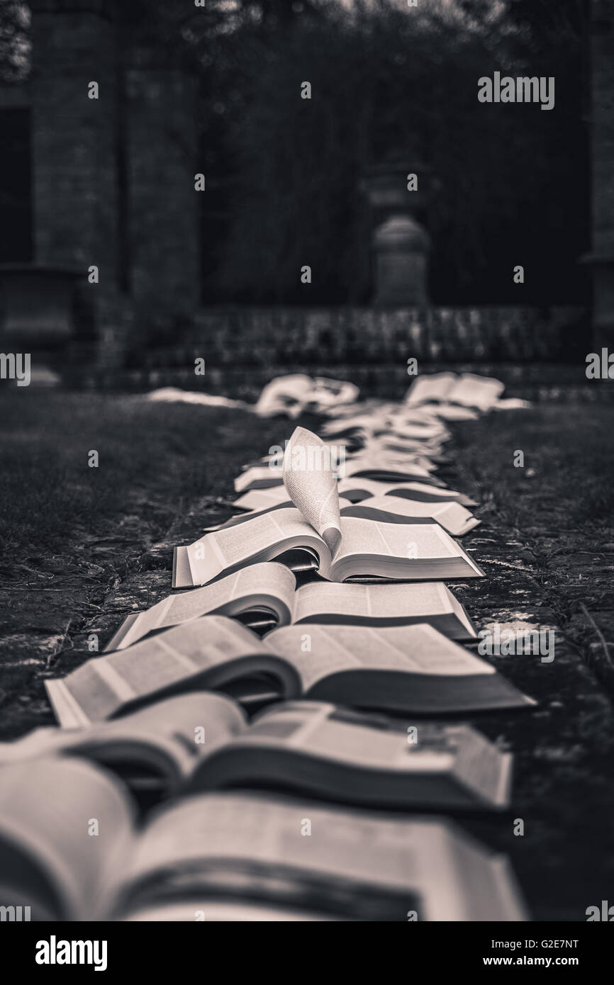 Path of Open Books Stock Photo - Alamy