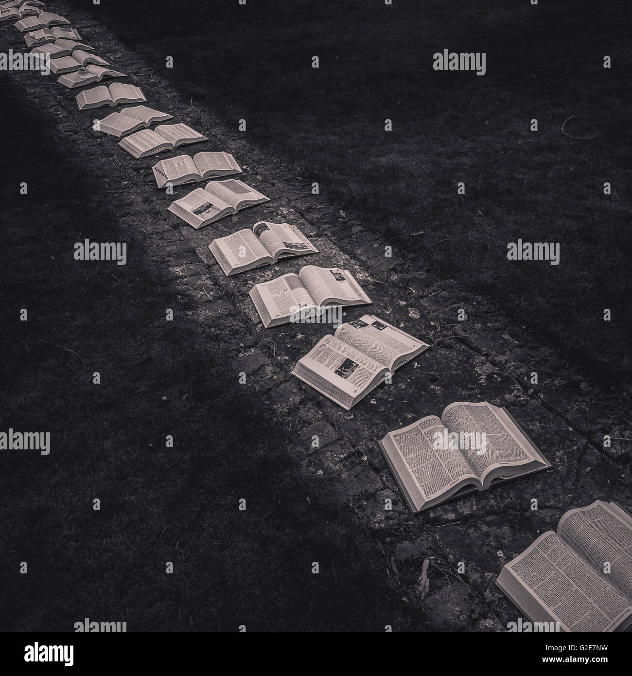Books and literature hi-res stock photography and images - Alamy