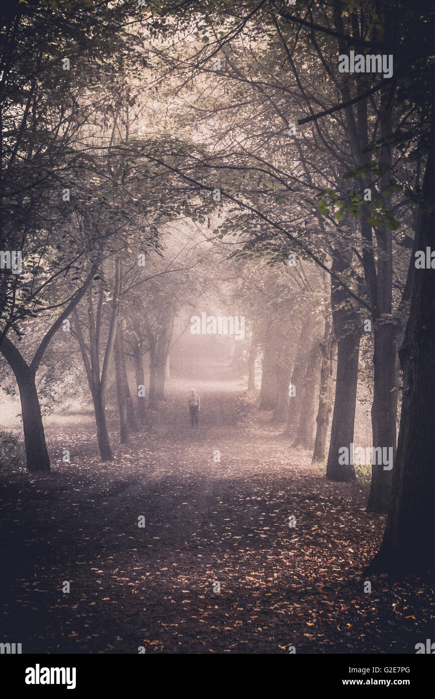 Man trees woods standing hi-res stock photography and images - Alamy