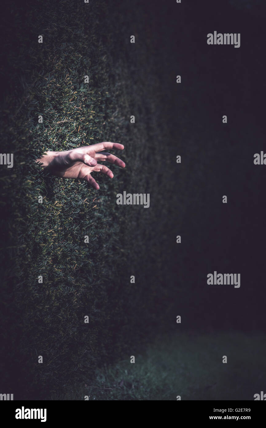 Person reaching hand hi-res stock photography and images - Alamy