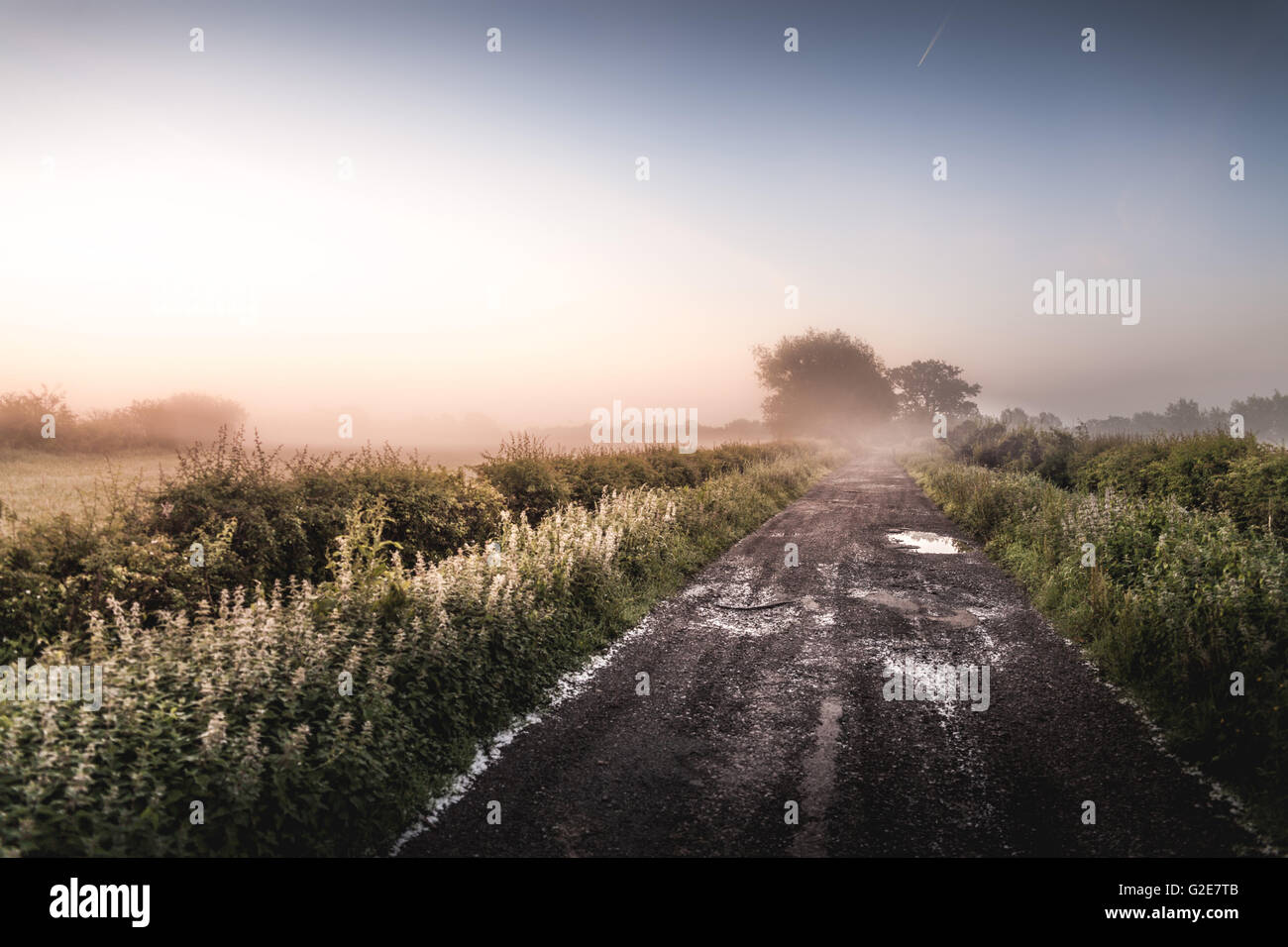 Dawn landscape rural road hi-res stock photography and images - Alamy