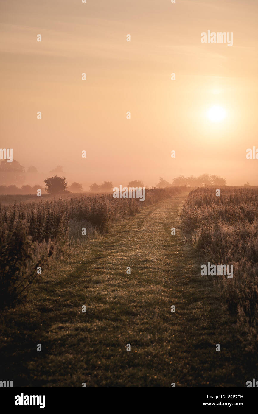 Path to sunrise hi-res stock photography and images - Alamy