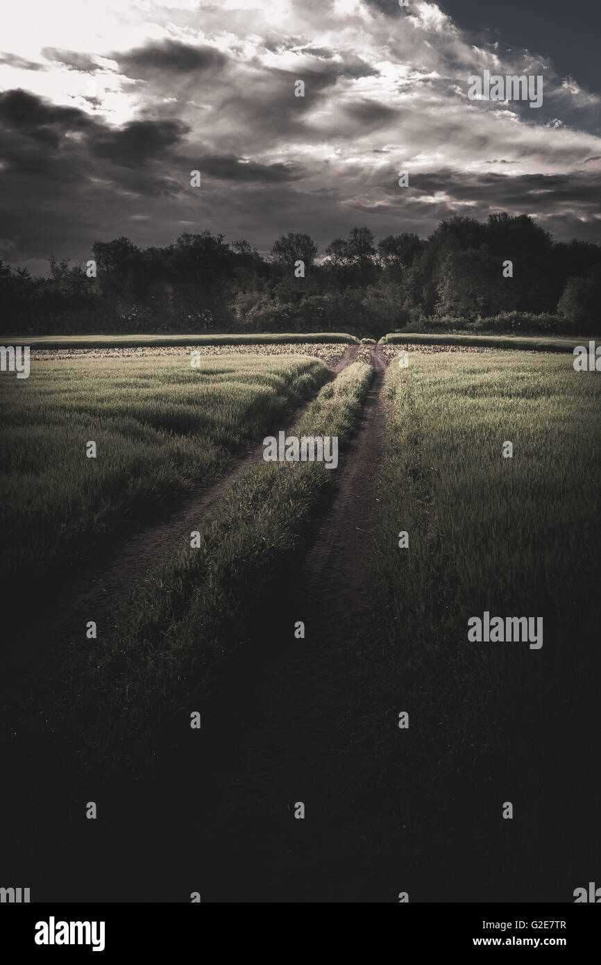 Path Tracks through Rural Field Stock Photo - Alamy