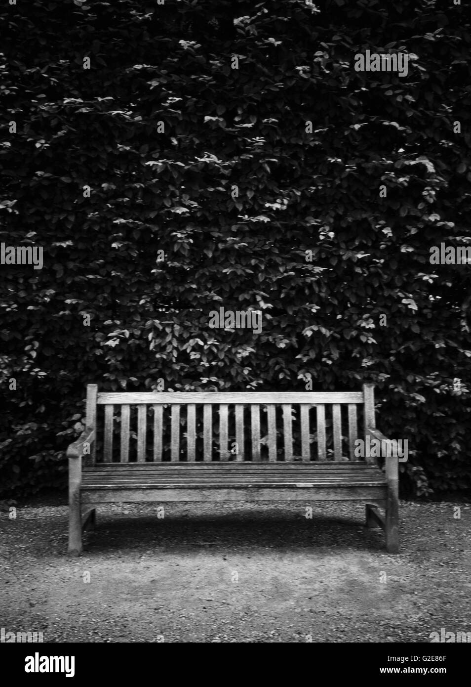Park Bench, Paris, France Stock Photo - Alamy