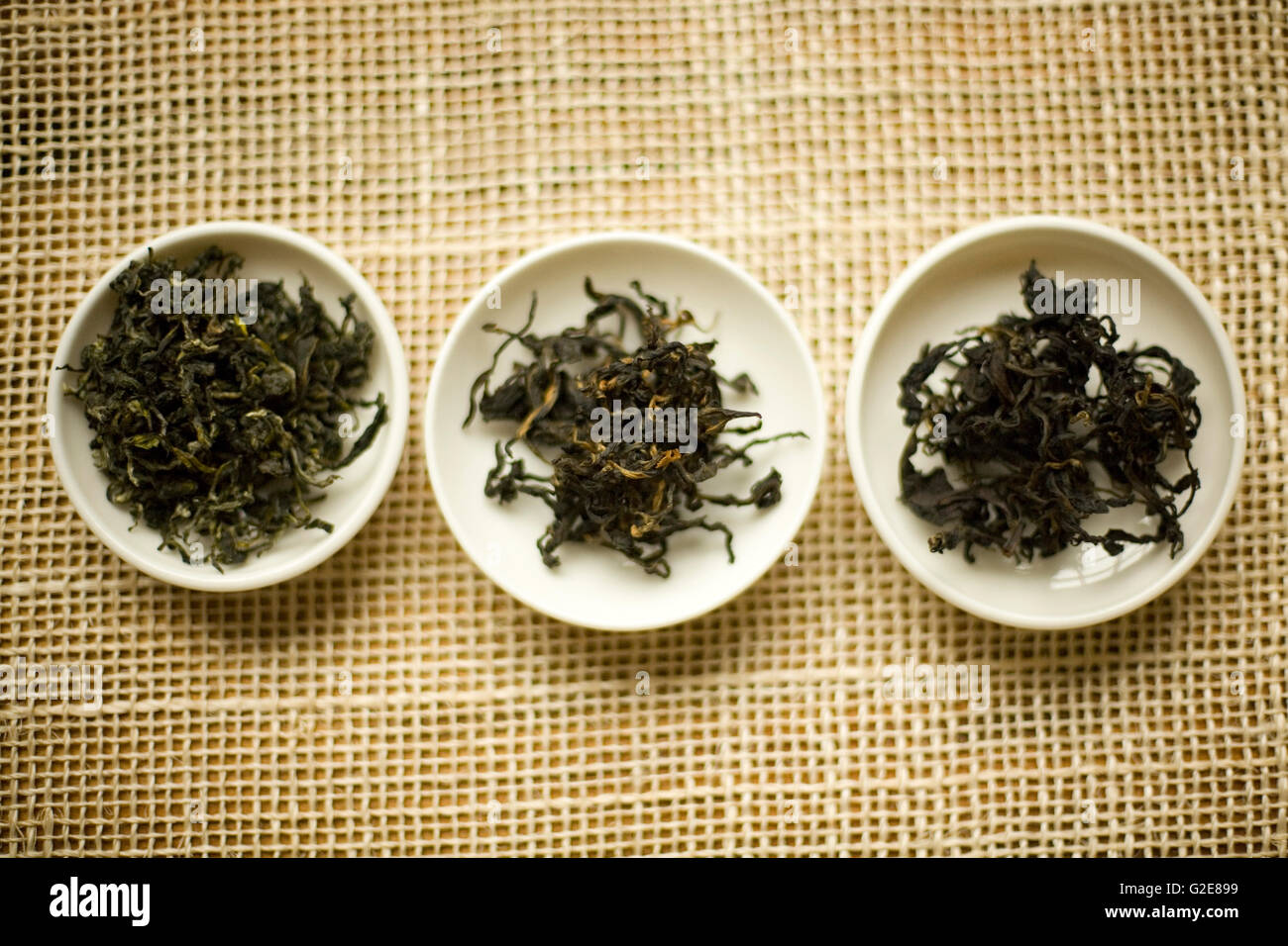 Herbal plates hi-res stock photography and images - Alamy