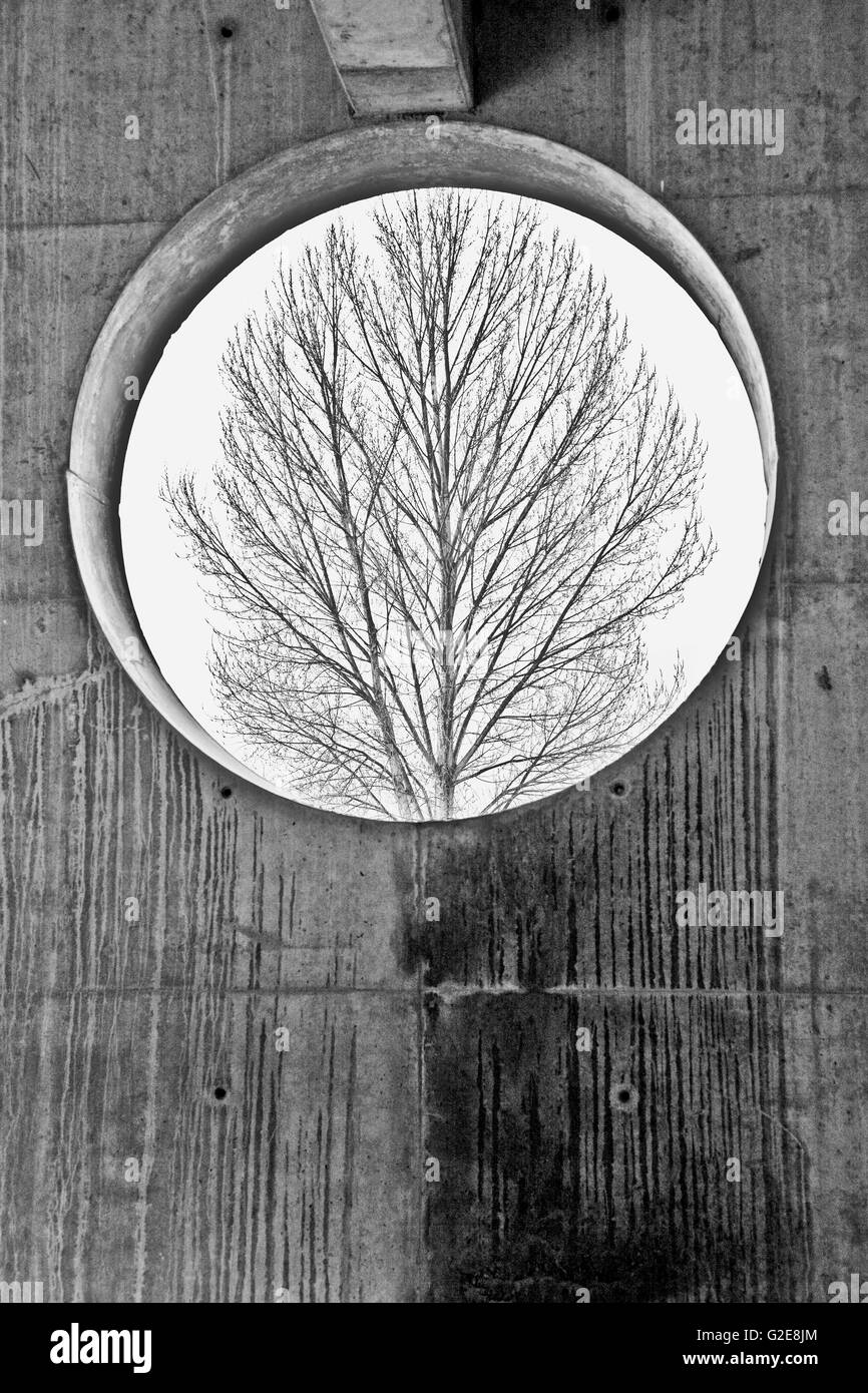 Bare Tree Trhough Round Window Stock Photo - Alamy
