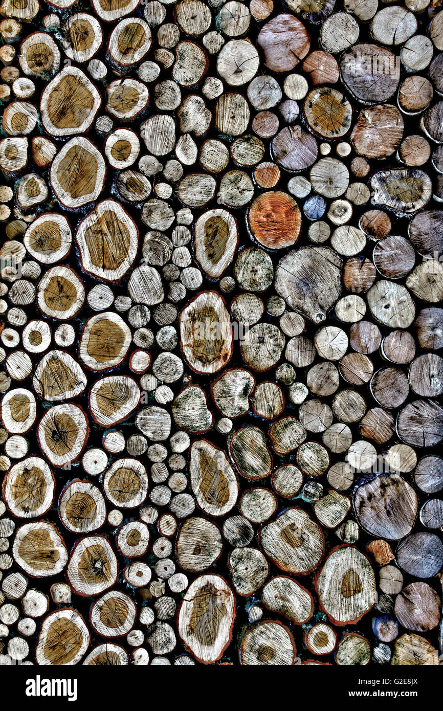 Logs age rings hi-res stock photography and images - Alamy
