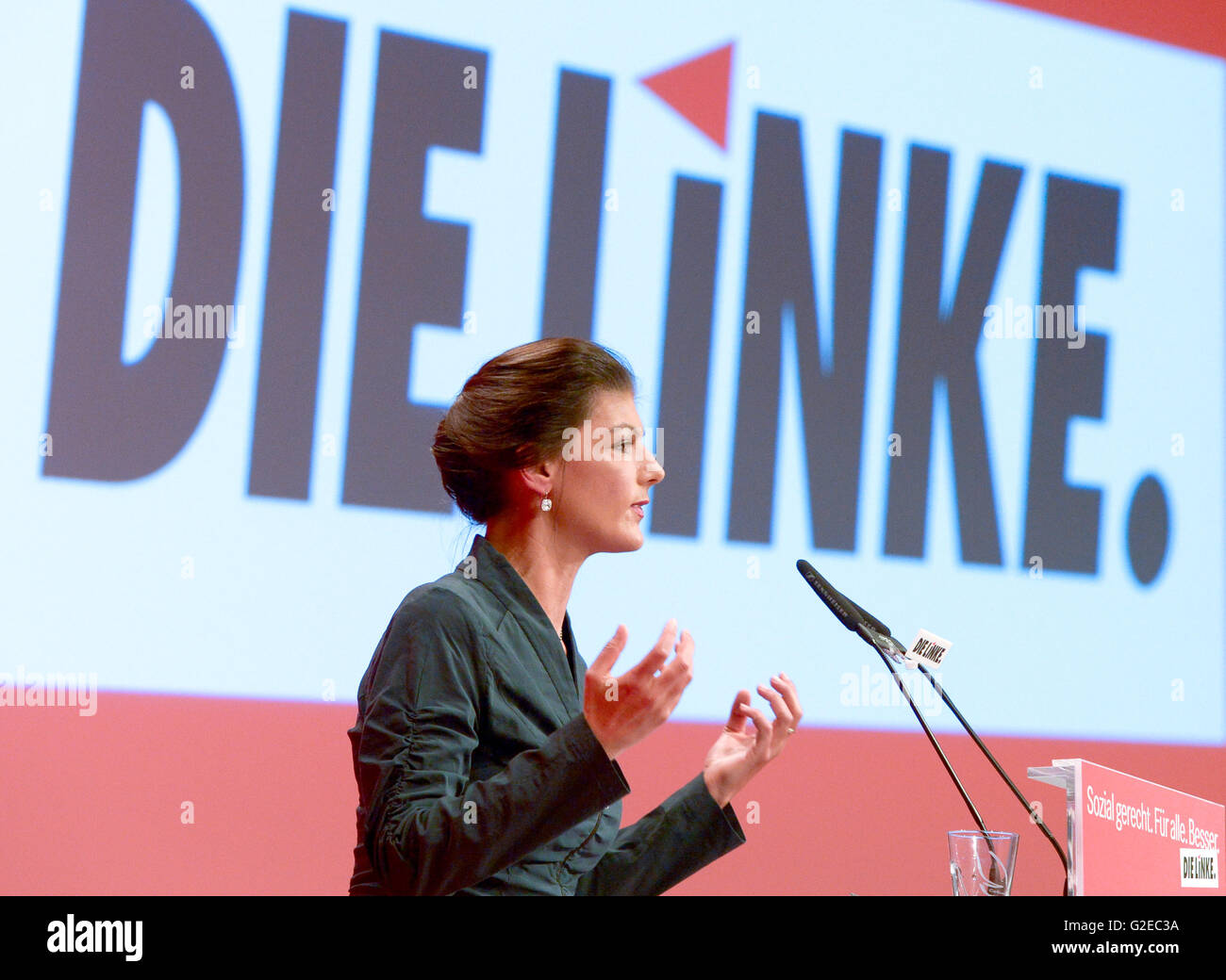 Sahra Wagenknecht, Fraction Chairwoman of Die Linke party at the ...