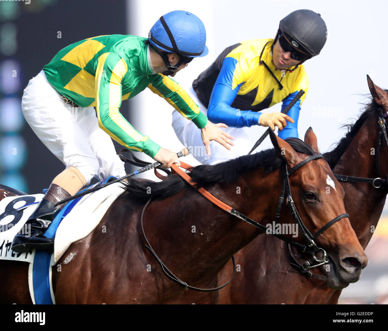 Tokyo, Japan. 29th May, 2016. Jockey Yuga Kawada riding Makahiki (R ...