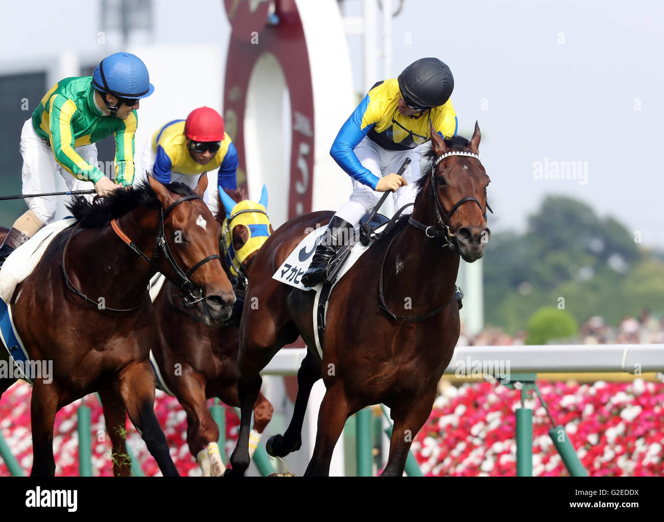 Tokyo, Japan. 29th May, 2016. Jockey Yuga Kawada riding Makahiki (R ...
