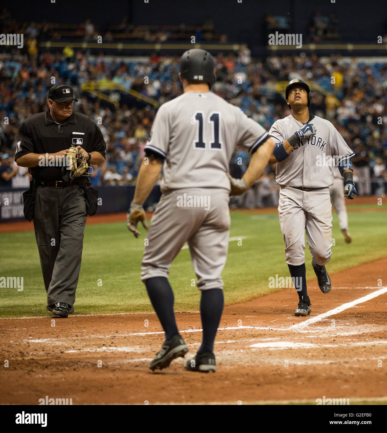 St. Petersburg, Florida, USA. 29th May, 2016. LOREN ELLIOTT | Times ...