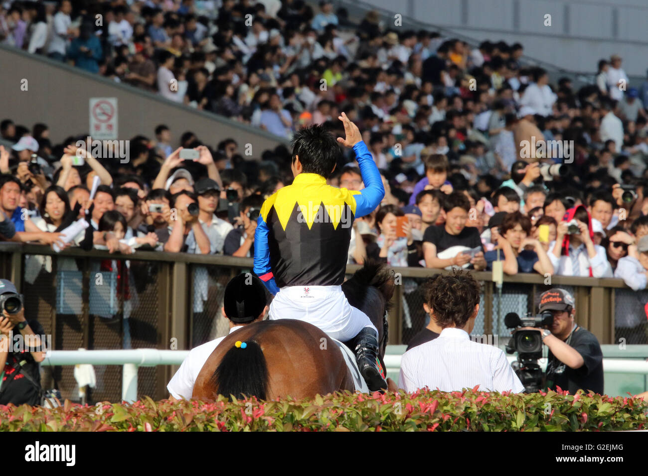 Tokyo, Japan. 29th May, 2016. Jockey Yuga Kawada riding Makahiki reacts ...