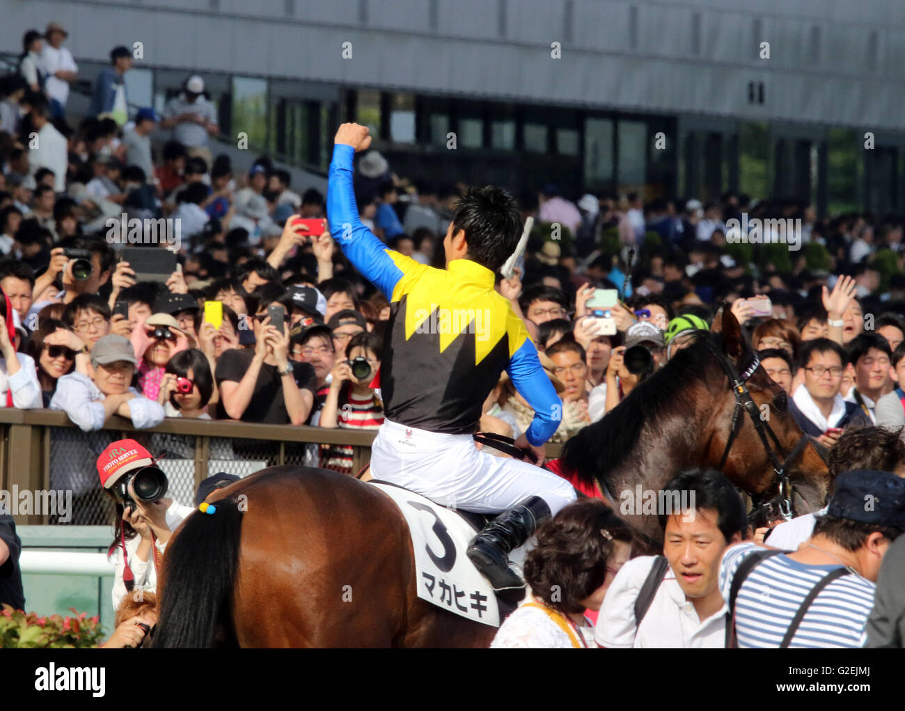 Tokyo, Japan. 29th May, 2016. Jockey Yuga Kawada riding Makahiki reacts ...