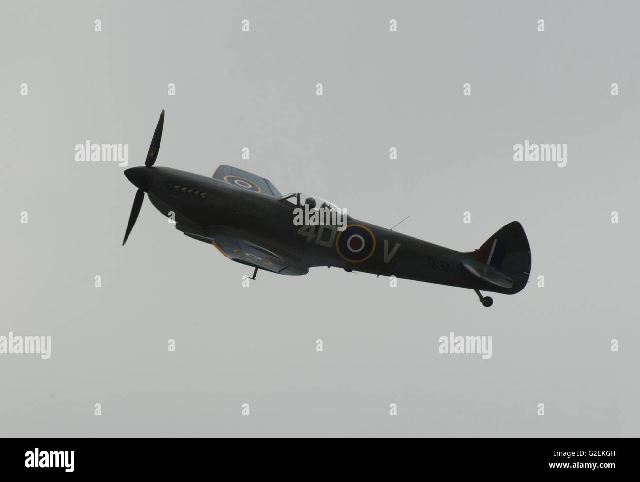 Clipped wing spitfire hi-res stock photography and images - Alamy